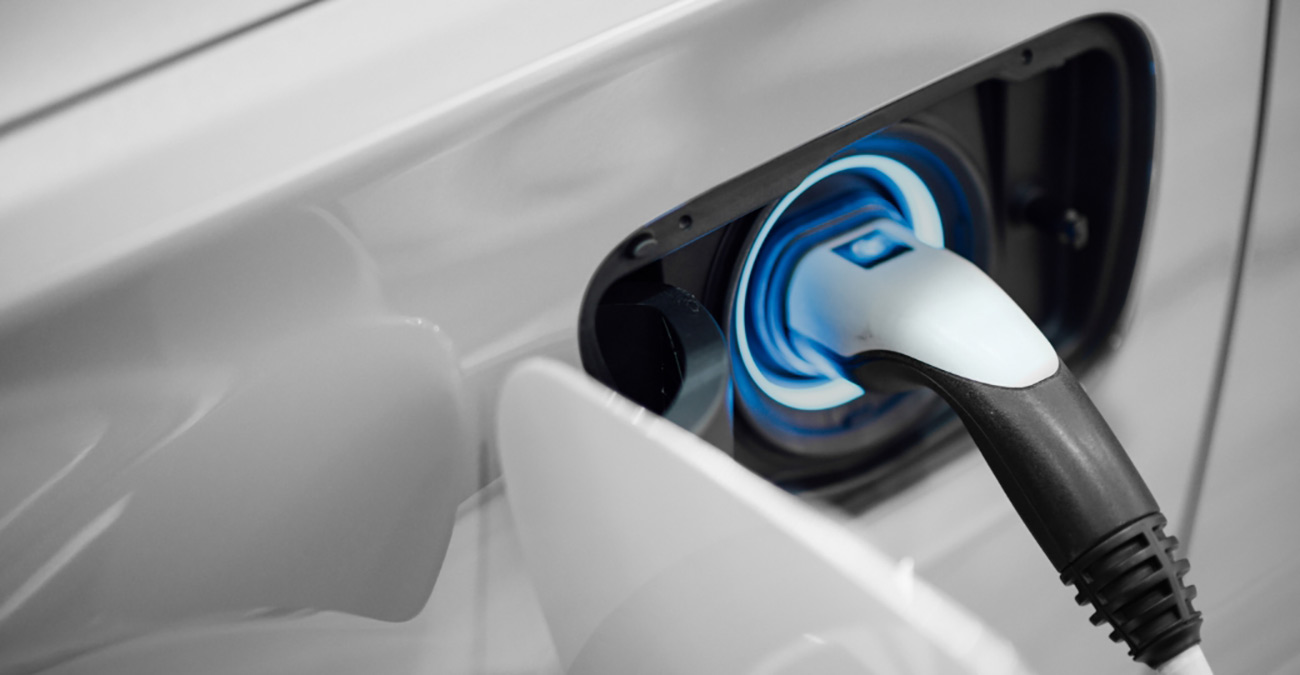 Newest Models – METABOND